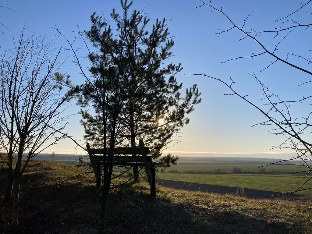 Seyir terası Смотровая площадка, Kalujskaya oblastı, foto