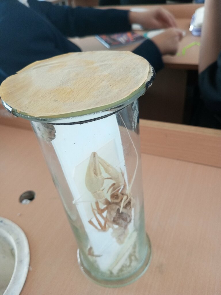 Ortaokul Shkola obshcheobrazovatelnaya srednyaya, Orenburgskaya oblastı, foto
