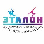 Novikov_gymteam (ulitsa Tevosyana No:25), spor kulüpleri  Elektrostal'den