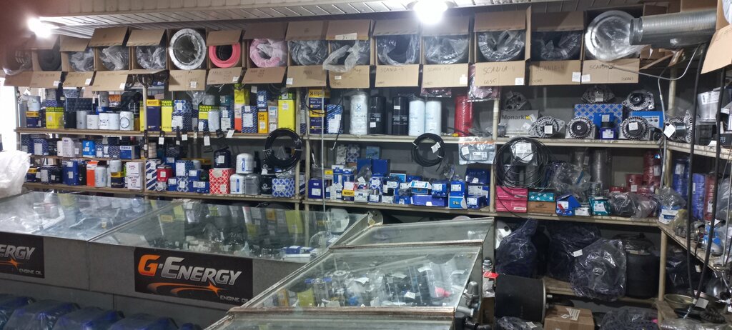 Otomobil yedek parçaları SarAutoZap727, Saratovskaya oblastı, foto