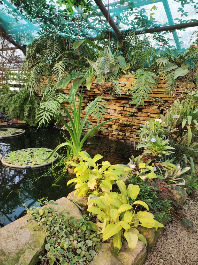 Çiçekçiler Цветочный центр, Novosibirskaya oblastı, foto