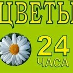 Цветы (Zheleznodorozhnaya Street No:35к3, rabochiy posyolok Monino), çiçekçiler  Moskova ve Moskovskaya oblastından