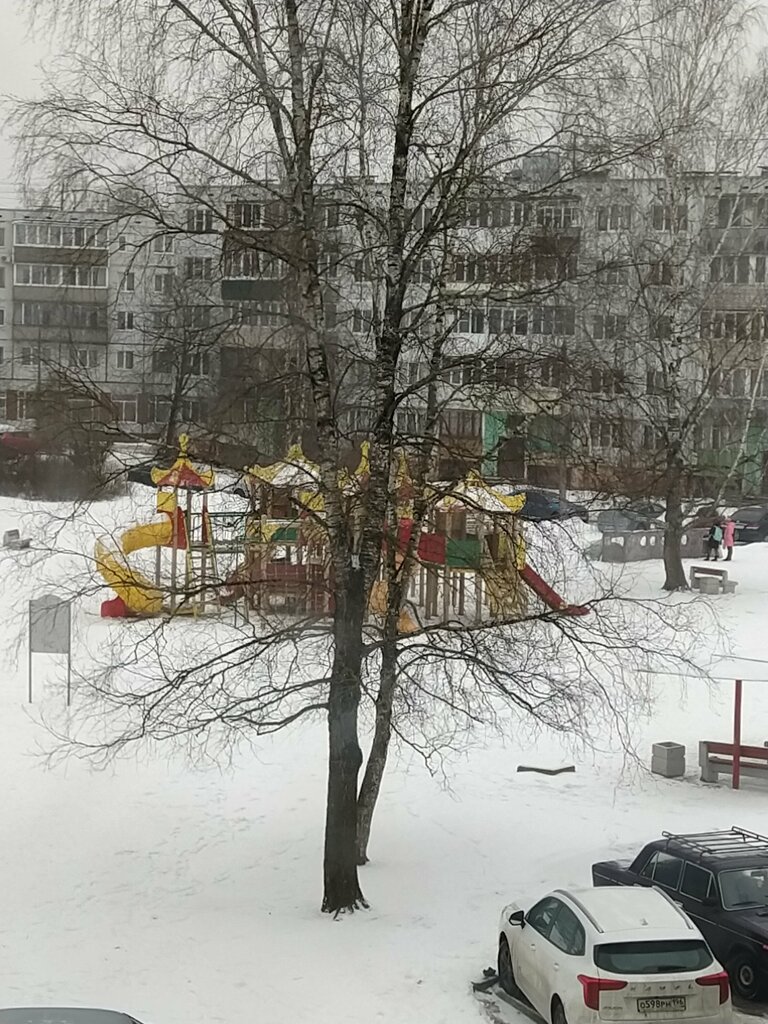 Oyun alanı Playground, Pskov, foto