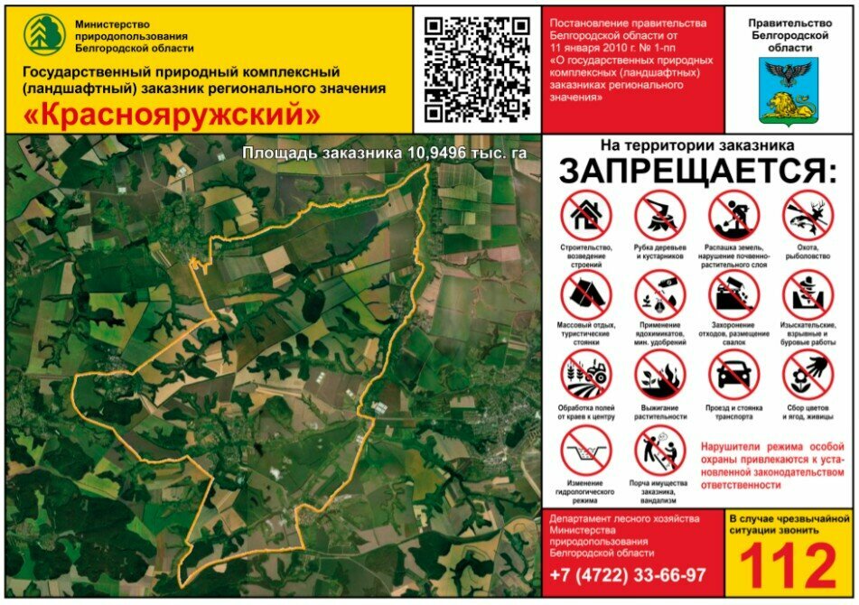 Orman урочище Глушково, Belgorodskaya oblastı, foto