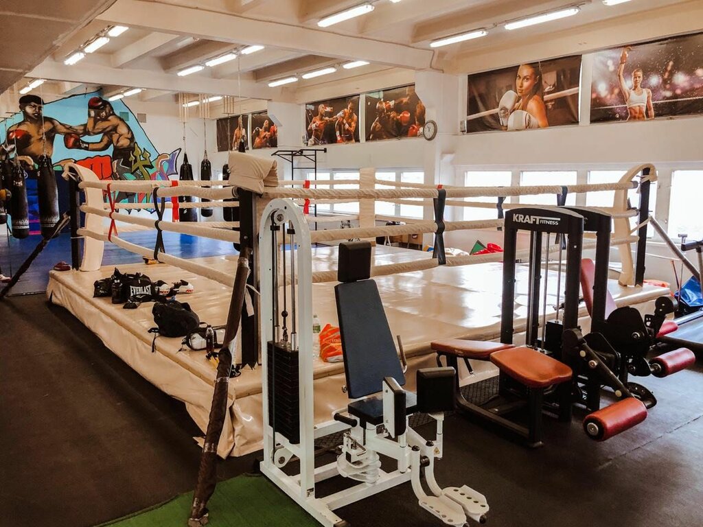 Spor kulüpleri Phoenix, Moskova, foto