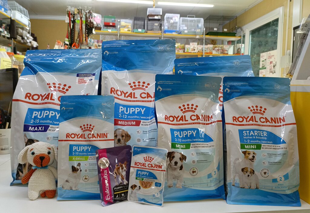 Petshop Зверьё Моё, Volgodonsk, foto