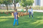 Yenisehir Akademi (Mersin, Yenişehir, Pirireis Mah., 1133. Sok., 3), eğitim merkezleri  Mersin'den