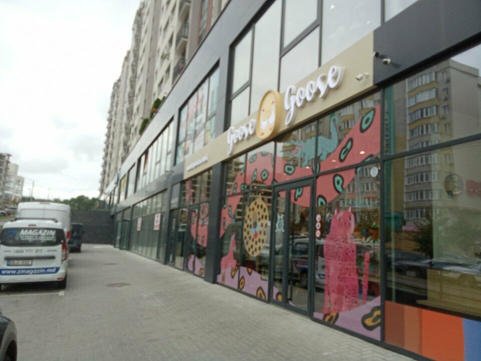 Çocuk oyunları ve oyuncakları Goose & Goose, Kişinev, foto