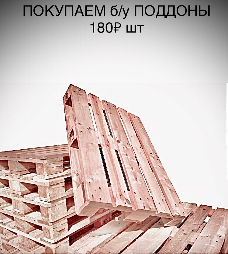 Paletler Poddony, Saint‑Petersburg, foto