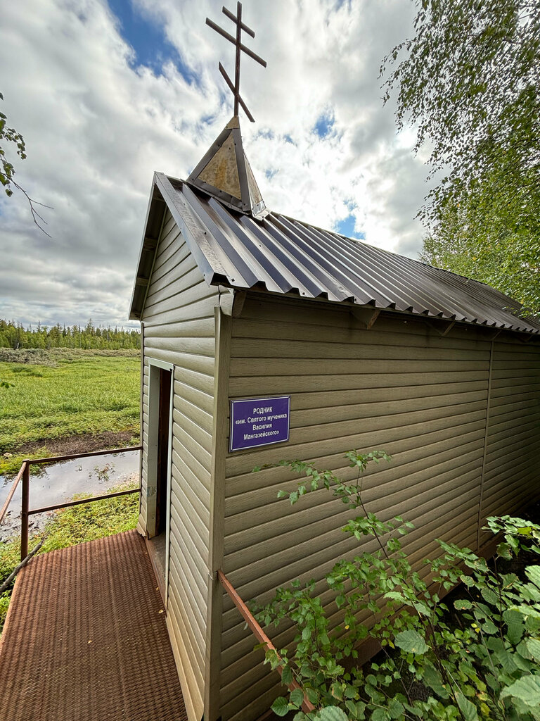 Pınar, çay Spring, stream, Yamal‑Nenets Özerk Bölgesi, foto
