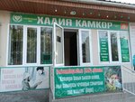 Хадия (Maxim Gorky Street No:3, Jalal-Abad), yardım kuruluşları  Celalabat'tan