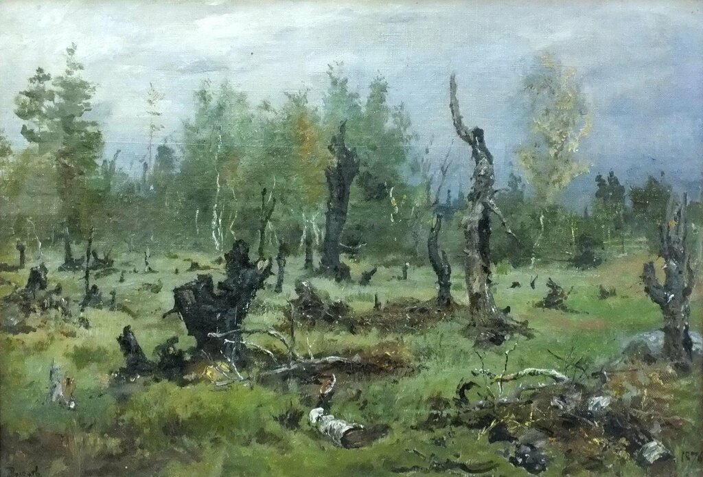 Orman Горелый лес, Krasnodarski krayı, foto