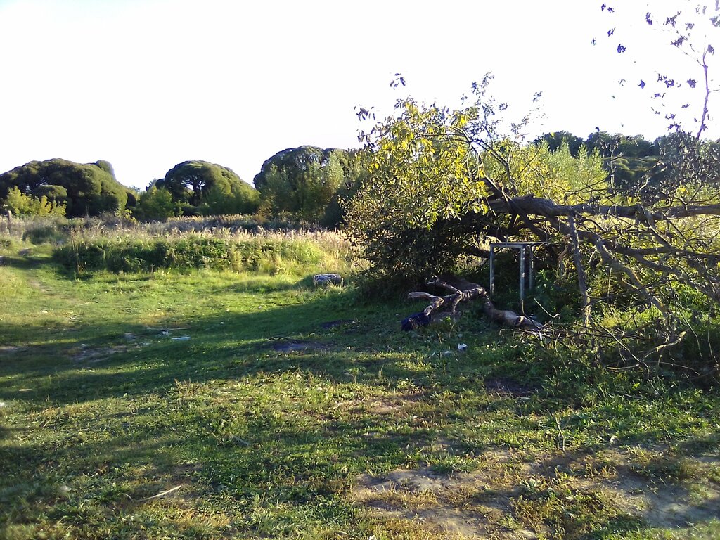 Spor alanı Памп-трек, İvanovo, foto