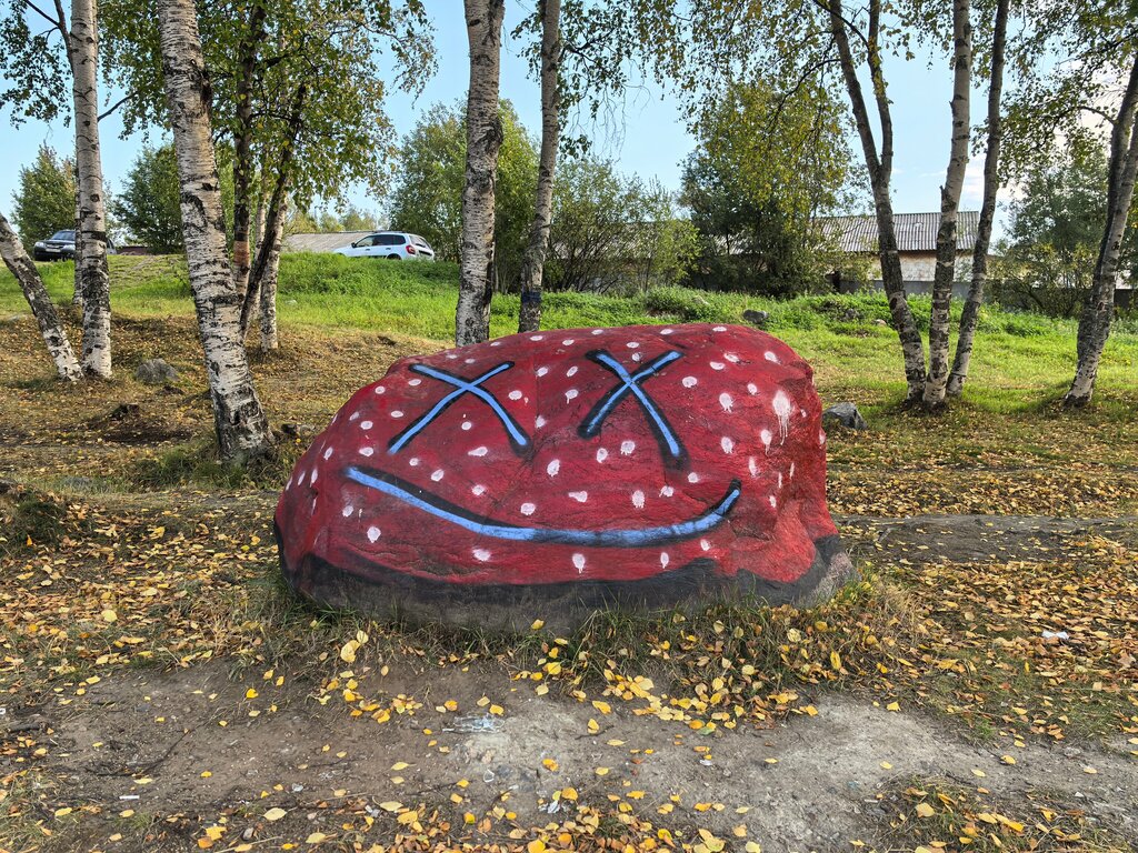 Spor alanı Чуево поле, Murmanskaya oblastı, foto