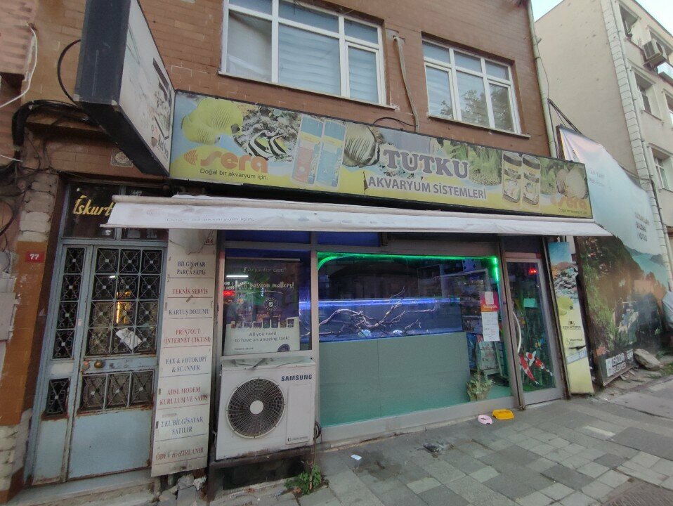 Akvaryumlar Tutku Deniz Akvaryum, İstanbul, foto