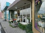 Лаура (Raffi Street No:33/8, Yerevan), çiçekçiler  Erivan'dan