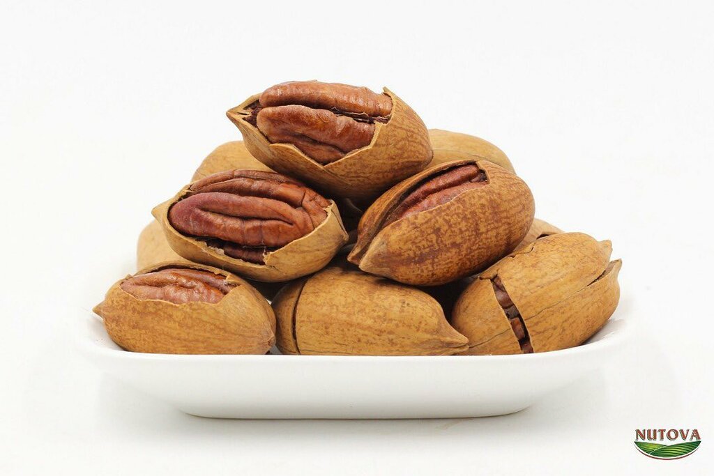 Kuruyemiş, atıştırmalık, kuru meyve Nutova, Tavas, foto
