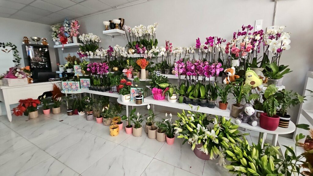 Çiçekçiler Lily Çiçekçilik, İstanbul, foto