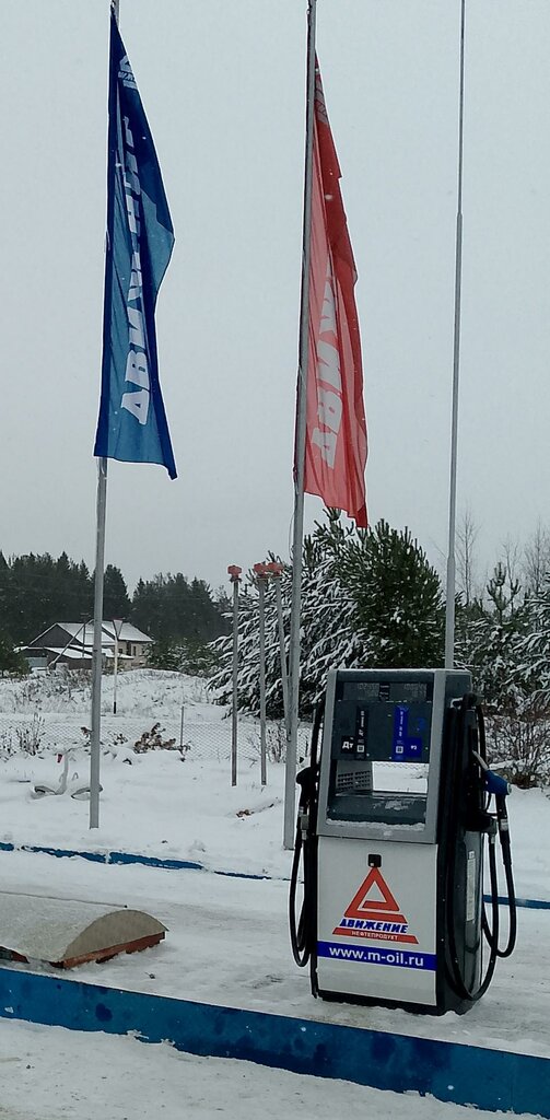 Benzin istasyonu Движение, Kirovskaya oblastı, foto