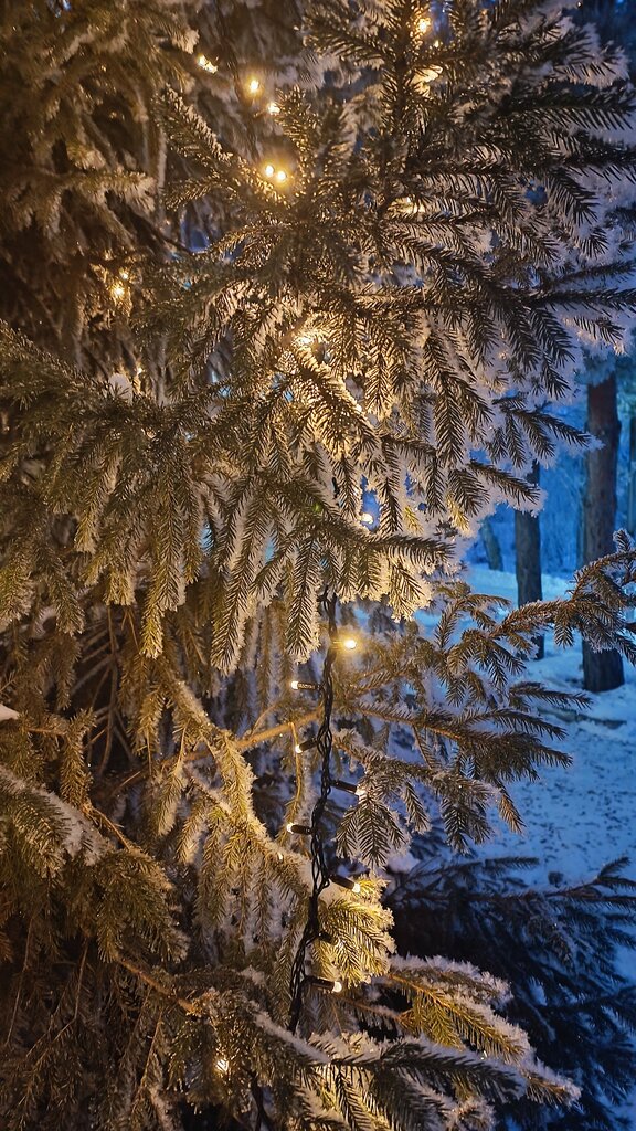 Tatil altyapısı Санаторий Евромед, корпус № 2, Omskaya oblastı, foto