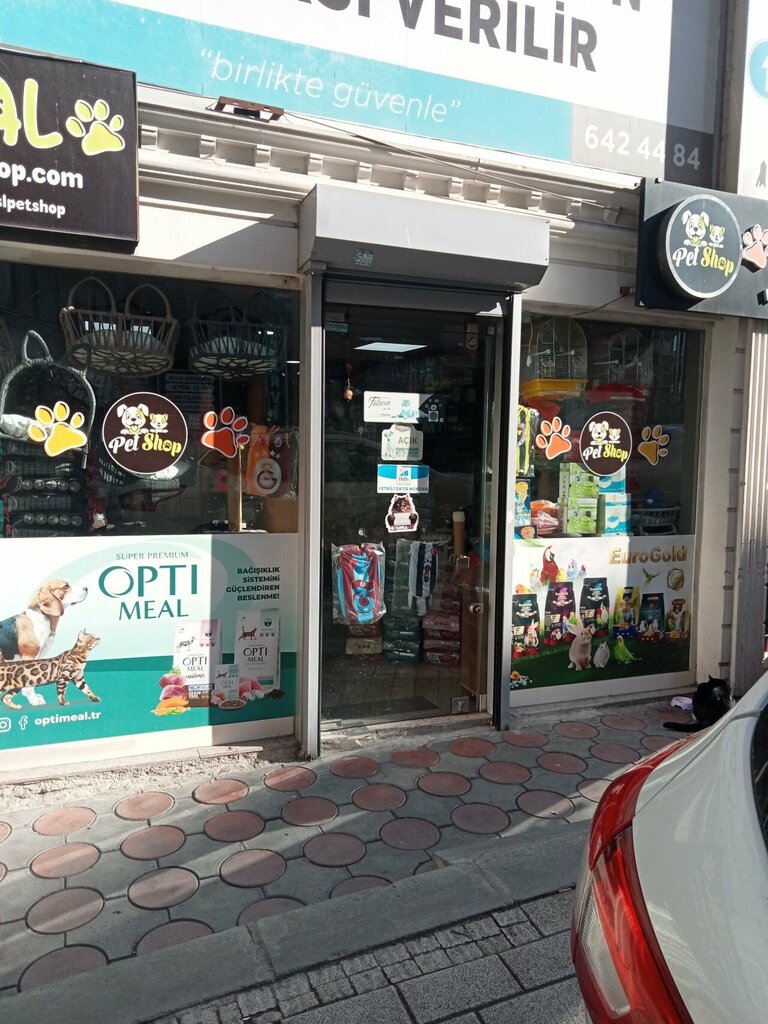 Petshop Masal Petshop, İstanbul, foto