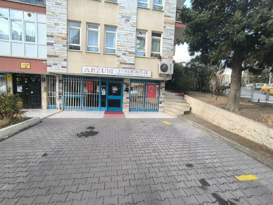 Kanatlı hayvan ürünleri ve yumurta Arzum Yumurtacılık, Ankara, foto