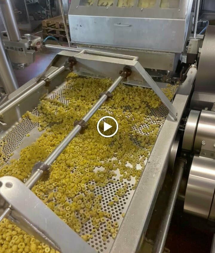 Gıda üreticileri Teksen Zeytin, Akhisar, foto