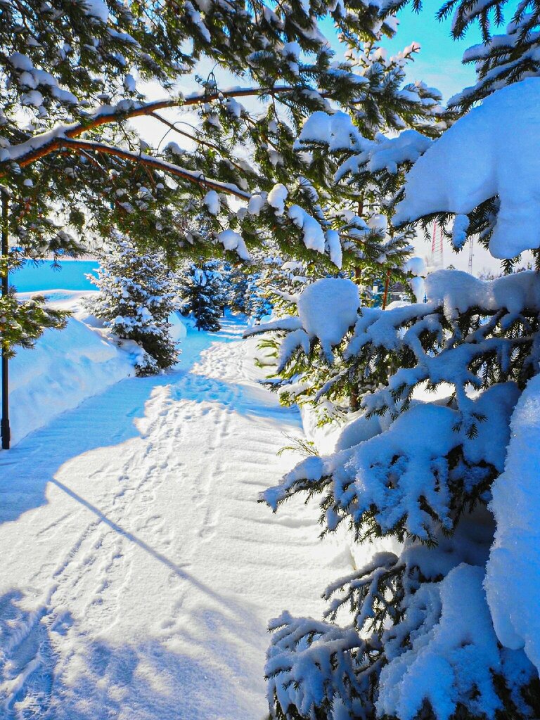 Tıbbi rehabilitasyon merkezleri Лемпинский наркологический реабилитационный центр, Hantı‑Mansi Özerk Okrugu, foto