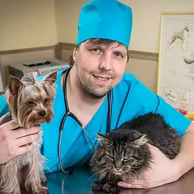 Veteriner klinikleri Usatij-hvostatiy, Moskova, foto