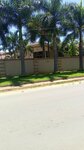 Havilla garden's (Tito Road No:607), bahçecilik mağazaları  Lusaka'dan