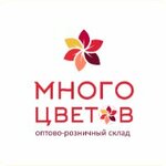 Mnogo cvetov (ulitsa Dzerzhinskogo No:21), çiçek teslimatı  Magadan'dan