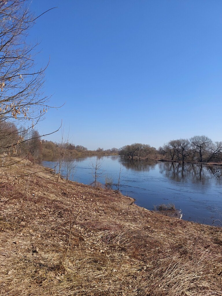 Pınar, çay Spring, stream, Gomelskaya oblastı, foto