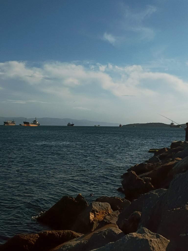 Deniz ve nehir iskeleleri DP World Yarımca, Körfez, foto