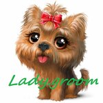 Lady Groom (Pishchevikov Boulevard No:41), evcil hayvan kuaförleri  Vorkuta'dan