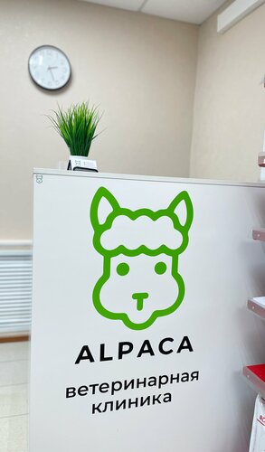 Veteriner klinikleri Alpaca, Ruzaevka, foto