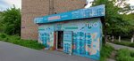 Piggy bank (Toktonaliyev street No:46), market  Bişkek'ten