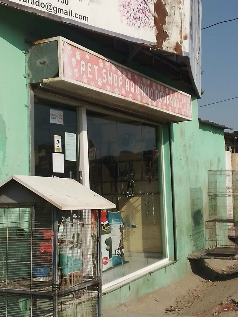 Petshop Pet Shop, Loanda, foto