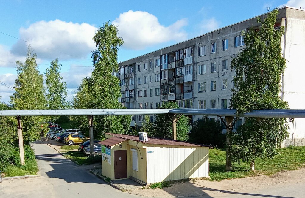 Market Продукты, Pytalovo, foto