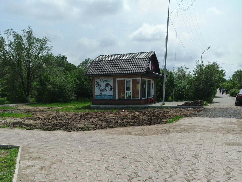 Çiçekçiler Orhideya, Aksu, foto