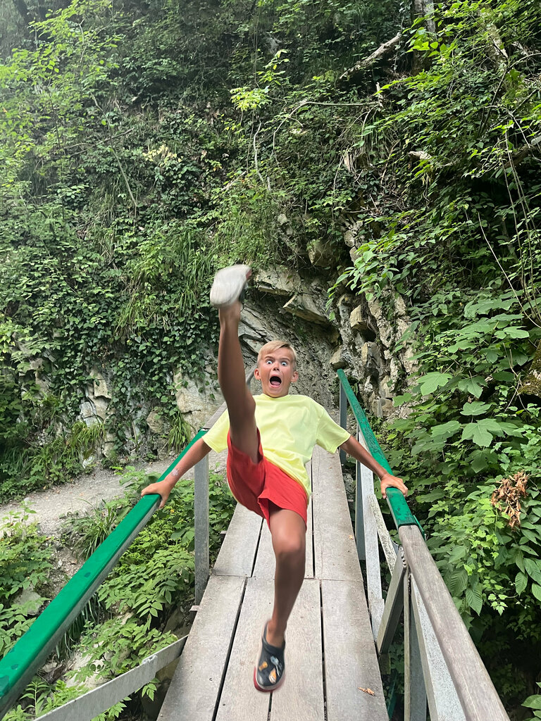 Orman лес Хитрый, Tulskaya oblastı, foto