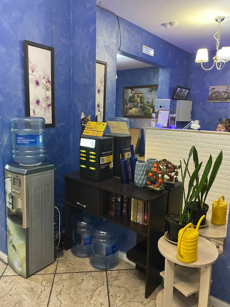 Şarj cihazı kiralama Energo, Moskova, foto