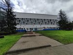 Дельфин (Pisatelya Marshaka street No:1А), spor kulüpleri  Voronej'den