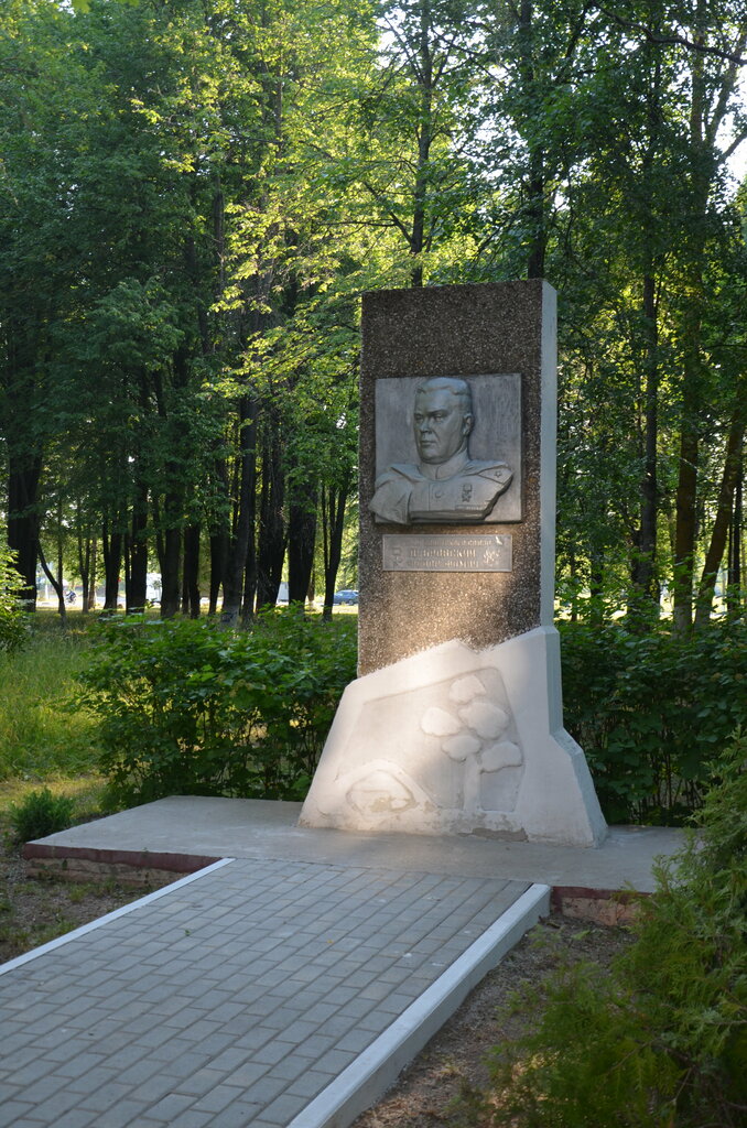 Anıt, heykel Герой Советского Союза Фёдор Фомич Дубровский, Novolukoml, foto