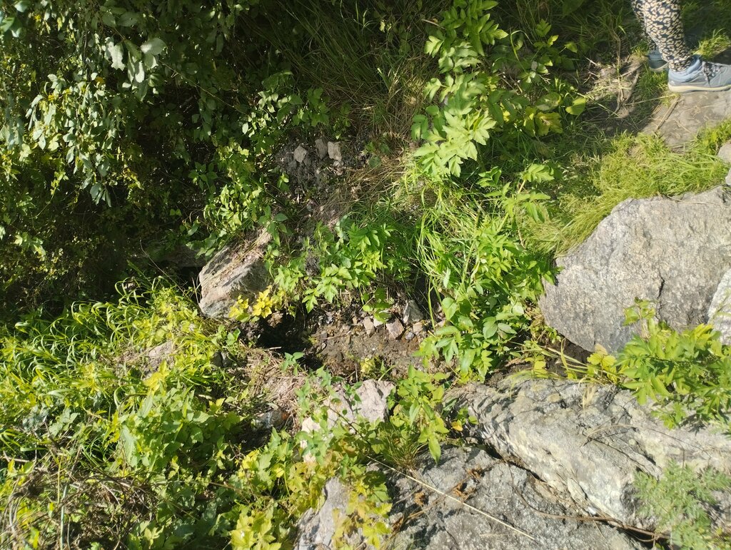 Pınar, çay Spring, Doğu Kazakistan eyaleti, foto