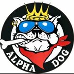 Alpha Dog (Tsentralnaya ulitsa No:58, derevnya Nizino), petshop  Saint‑Petersburg ve Leningradskaya oblastından