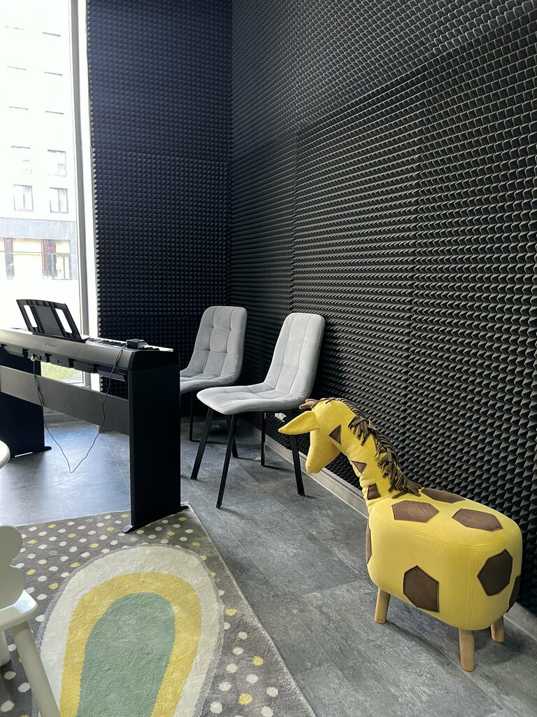 Müzik okulları ve konservatuarlar M'use School, Moskova, foto