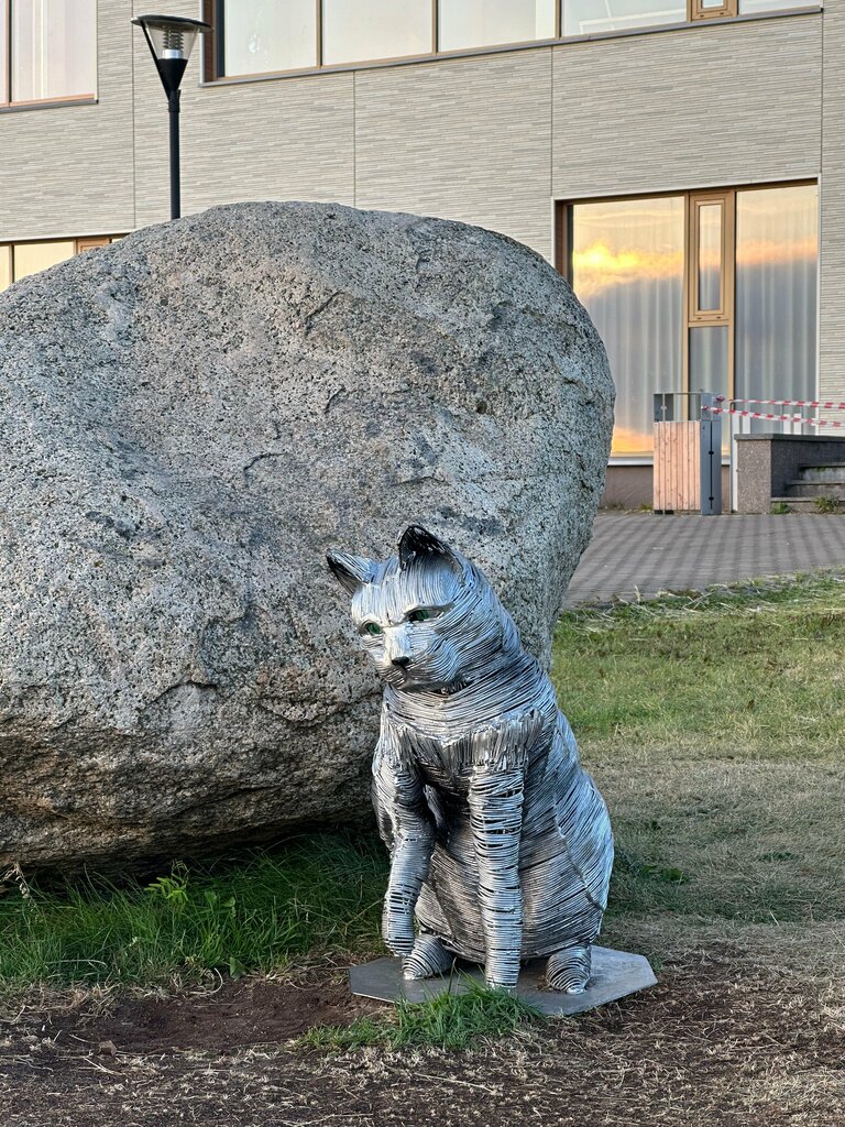 Anıt, heykel Кот Рекс, Petrozavodsk, foto