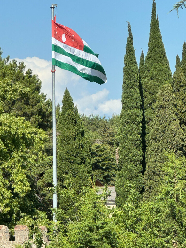 Turistik yerler Флаг Абхазии, Pitsunda, foto