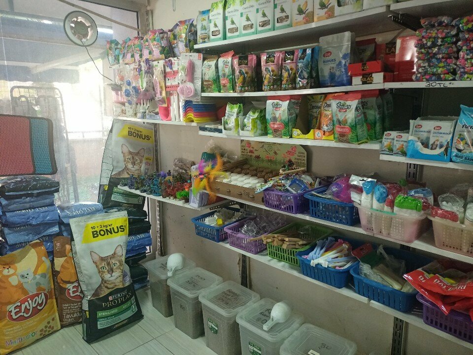 Petshop Başak PetShop, Antalya, foto