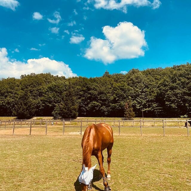 Kafe Kemer Country Bistro Restauran, İstanbul, foto